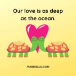 100+ Turtle Puns and Jokes That Are Shell-arious