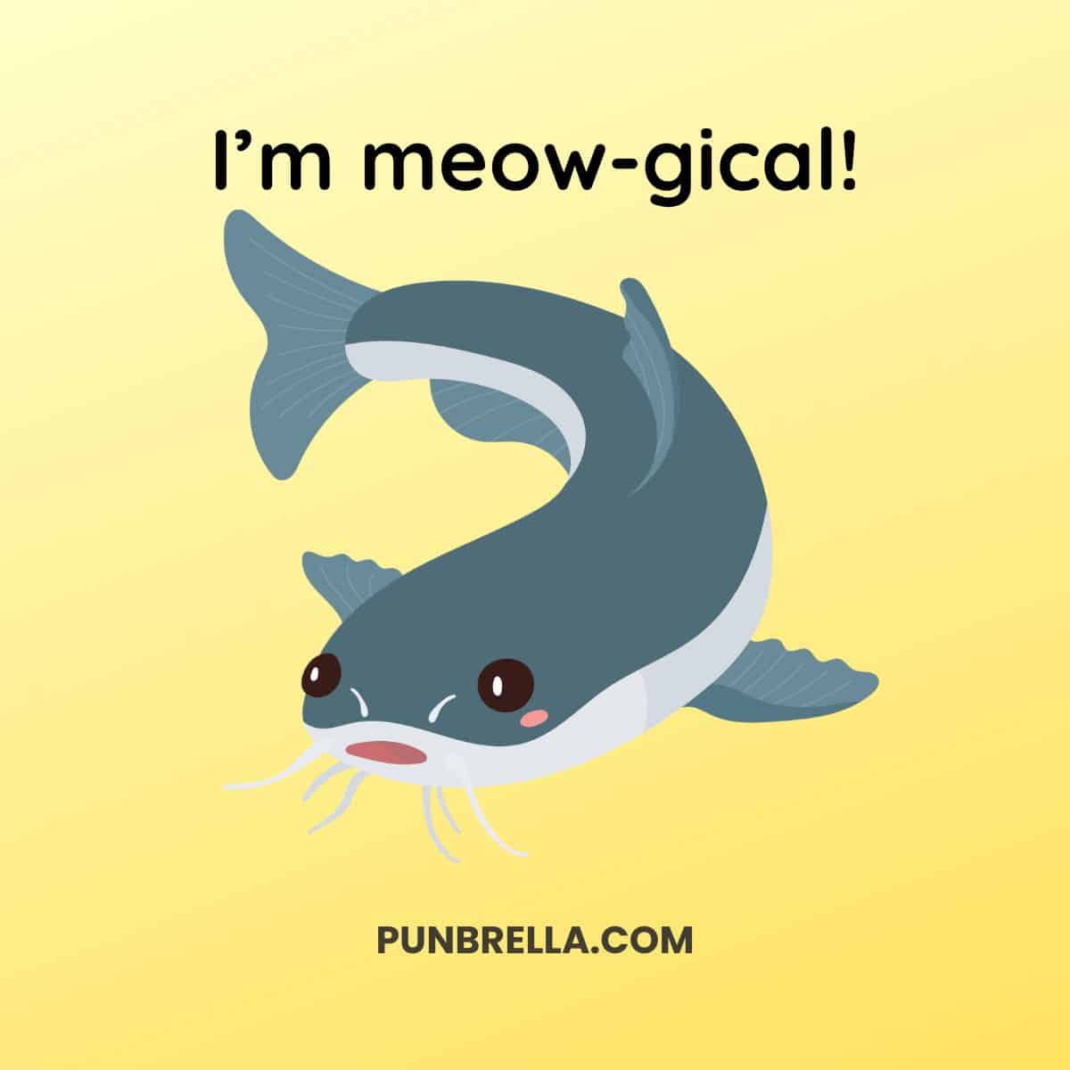 60+ Best Catfish Puns and Jokes to Reel You In