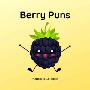 Berry Puns: 200 Fun and Playful Jokes to Brighten Your Day