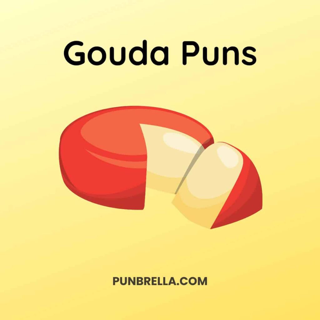 200 Hilarious Gouda Puns That Will Make Any Cheese Lover Smile
