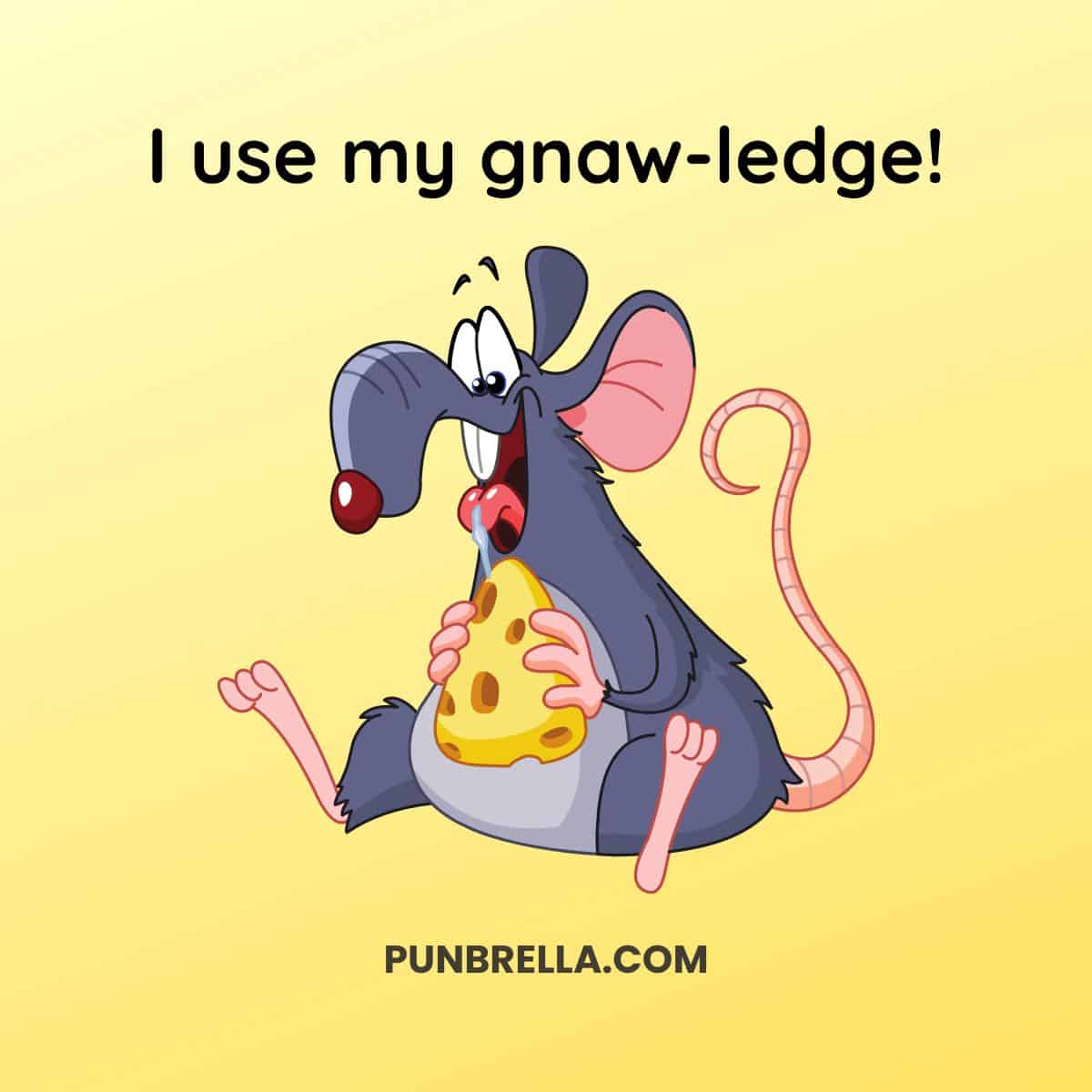 100 Hilarious Rat Puns to Make You Squeak with Laughter