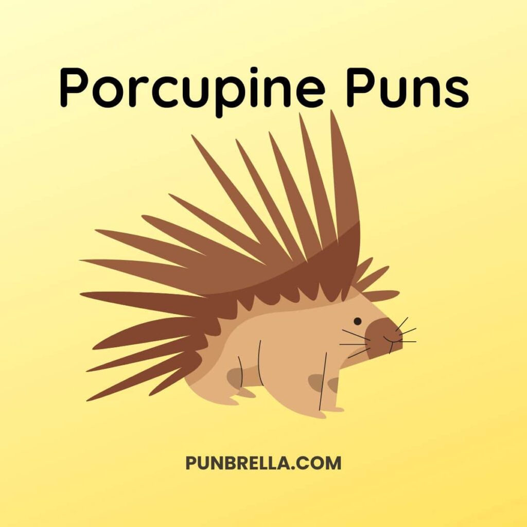 100 Hilarious Porcupine Puns That Will Make You Laugh Out Loud