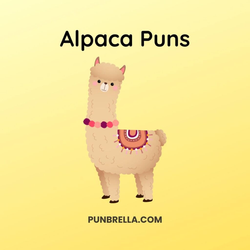 250 Hilarious Alpaca Puns That Will Make You Laugh Out Loud