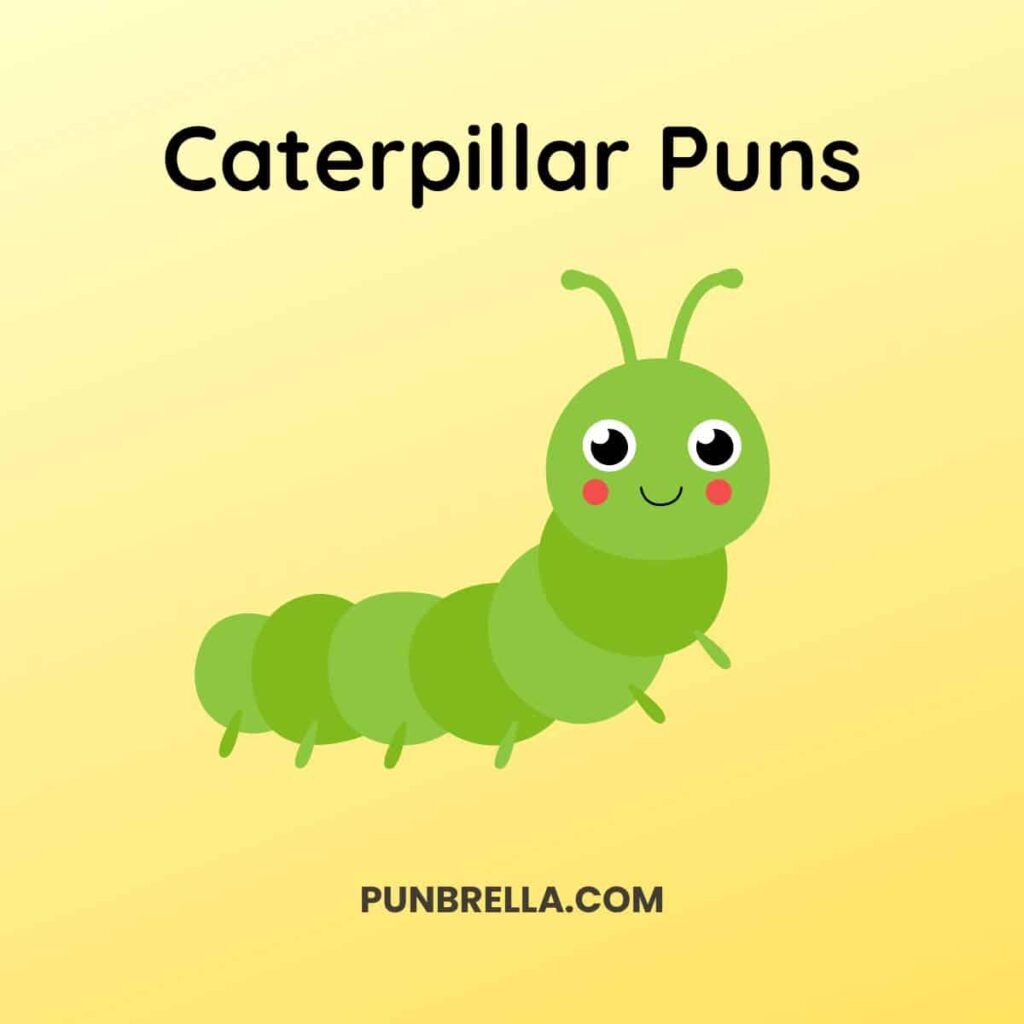 150 Funny Caterpillar Puns That Will Make You Laugh Out Loud