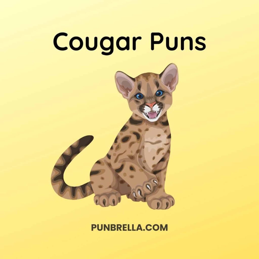 150 Hilarious Cougar Puns That Celebrate Confidence and Fun